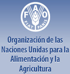 II Edición de los Premios FAO España - Colegio Oficial de Ingenieros de ...